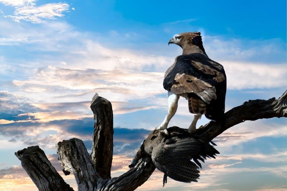 Wingspan Rules PDF: Complete Guide & Strategies